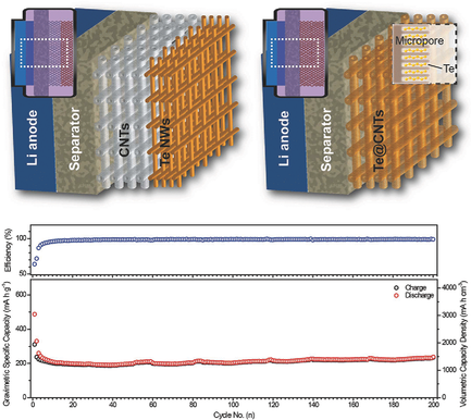 Elastic Carbon Nanotube Aerogel Meets Tellurium Nanowires: A Binder ...