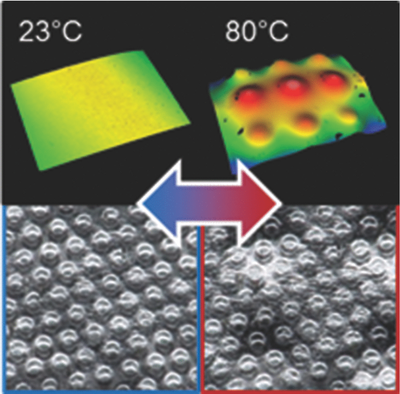 Temperature‐Induced Switchable Adhesion using Nickel–Titanium ...