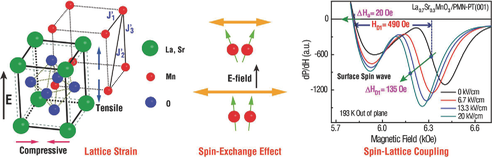 Modulation of Spin Dynamics via Voltage Control of Spin‐Lattice ...