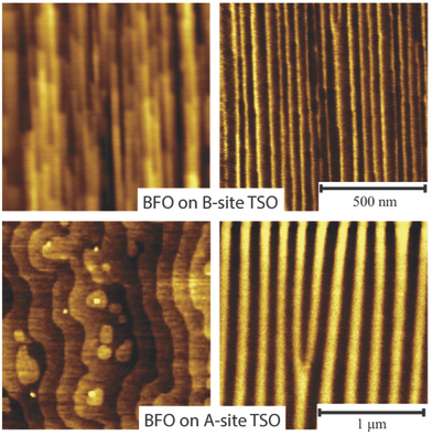 Domain Selectivity in BiFeO3 Thin Films by Modified Substrate ...