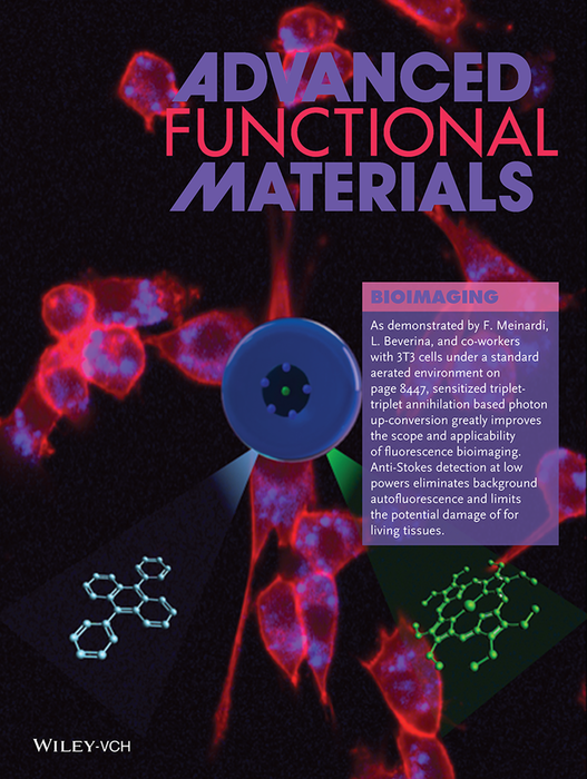 Bioimaging: Self‐Assembled Dual Dye‐Doped Nanosized Micelles for High‐Contrast Up‐Conversion ...