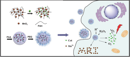 Modulation of Hypoxia in Solid Tumor Microenvironment with MnO2 ...