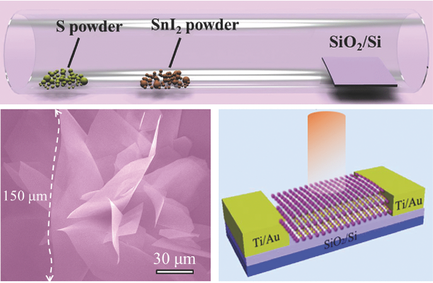 Large‐Size Growth of Ultrathin SnS2 Nanosheets and High Performance for Phototransistors ...