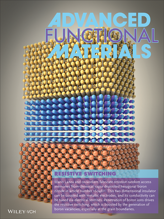 Resistive Switching: Coexistence of Grain‐Boundaries‐Assisted Bipolar ...