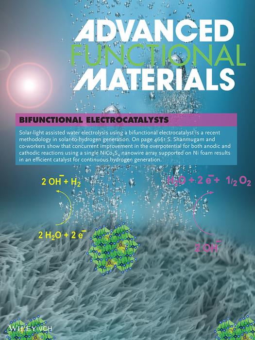Bifunctional Electrocatalysts: Hierarchical NiCo2S4 Nanowire Arrays Supported on Ni Foam: An ...