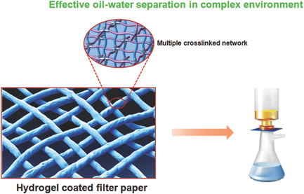 Directly Coating Hydrogel on Filter Paper for Effective Oil–Water ...