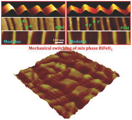 Mechanical Switching of Nanoscale Multiferroic Phase Boundaries,Advanced Functional Materials ...