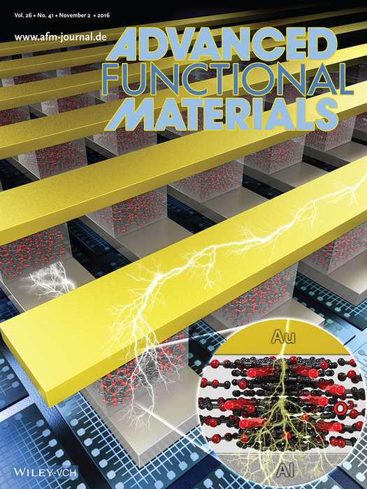Memristive Devices: Conductive Graphitic Channel in Graphene Oxide‐Based Memristive Devices (Adv ...