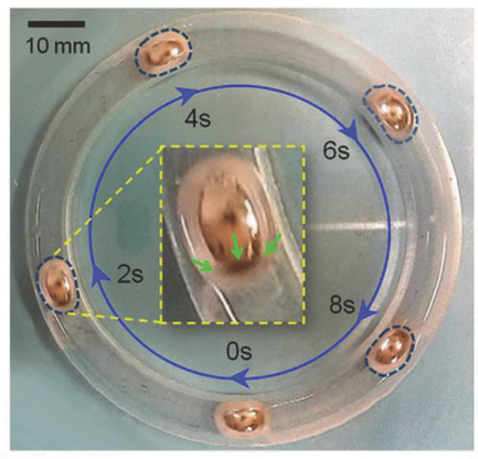 Self‐Fueled Biomimetic Liquid Metal Mollusk,Advanced Materials - X-MOL