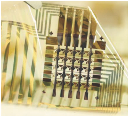 Integration of Organic Electrochemical and Field‐Effect Transistors for ...