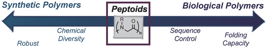 Sequence Programmable Peptoid Polymers for Diverse Materials Applications,Advanced Materials - X-MOL