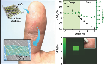 MoS2‐Based Tactile Sensor for Electronic Skin Applications,Advanced ...