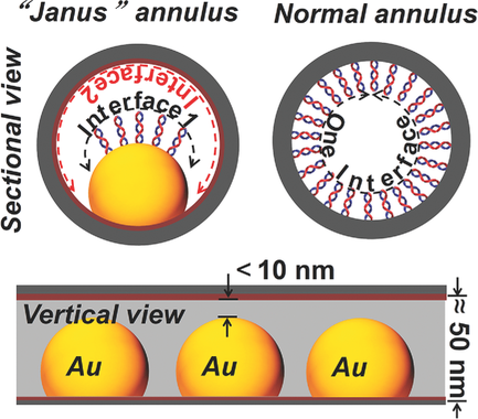 Functional “Janus” Annulus in Confined Channels,Advanced Materials - X-MOL