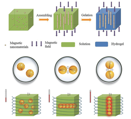 A Novel Magnetic Hydrogel with Aligned Magnetic Colloidal Assemblies ...