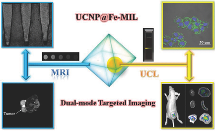Core–Shell Upconversion Nanoparticle@Metal–Organic Framework Nanoprobes for Luminescent/Magnetic ...