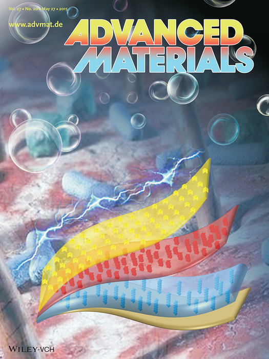 Biointerfaces: An Adaptive Biointerface from Self‐Assembled Functional ...