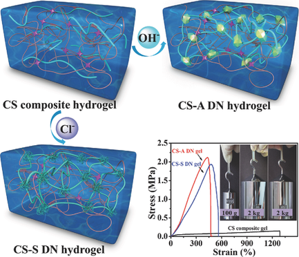 A Universal Soaking Strategy to Convert Composite Hydrogels into ...