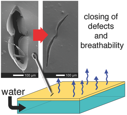 Self‐Sealing and Puncture Resistant Breathable Membranes for Water ...