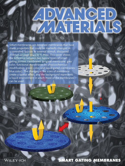 Smart Gating Membranes: Smart Gating Multi‐Scale Pore/Channel‐Based ...