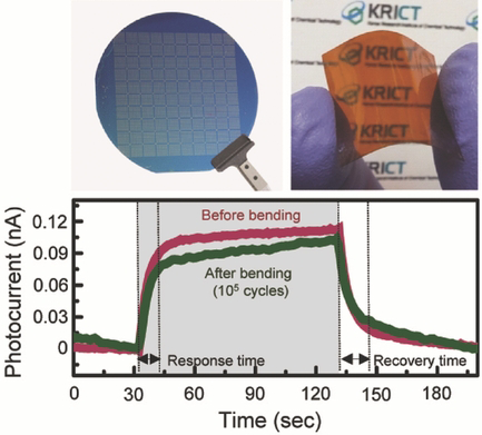 Wafer‐Scale, Homogeneous MoS2 Layers on Plastic Substrates for Flexible ...