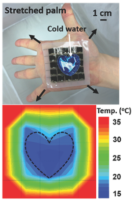 Stretchable Active Matrix Temperature Sensor Array of Polyaniline Nanofibers for Electronic Skin ...