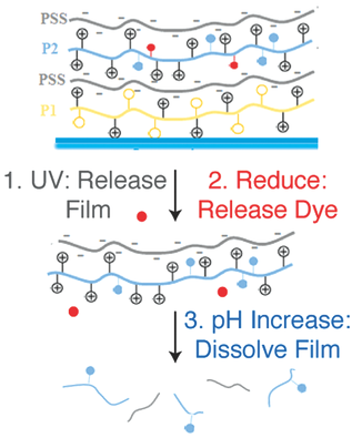 Stimuli‐Responsive Free‐Standing Layer‐By‐Layer Films,Advanced ...