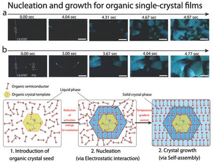 Organic Single‐Crystal Semiconductor Films on a Millimeter Domain Scale ...