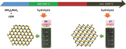 Targeted Synthesis of 2H‐ and 1T‐Phase MoS2 Monolayers for Catalytic ...
