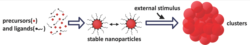 Nanoparticle Clusters: Assembly and Control Over Internal Order ...