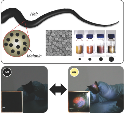 Selective Coloration of Melanin Nanospheres through Resonant Mie ...