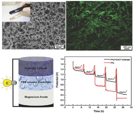 A Cytocompatible Robust Hybrid Conducting Polymer Hydrogel for Use in a ...