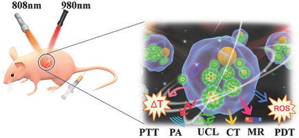Hierarchical Plasmonic Nanorods and Upconversion Core–Satellite Nanoassemblies for Multimodal ...