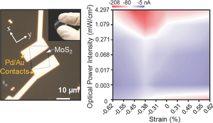Piezophototronic Effect in Single‐Atomic‐Layer MoS2 for Strain‐Gated ...