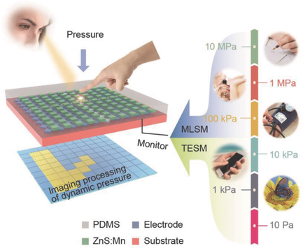 基于光电双模式传感的全动态范围压力传感器矩阵,Advanced Materials - X-MOL
