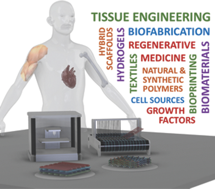 Emerging Biofabrication Strategies for Engineering Complex Tissue ...