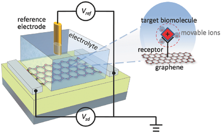 Sensing at the Surface of Graphene Field‐Effect Transistors,Advanced ...