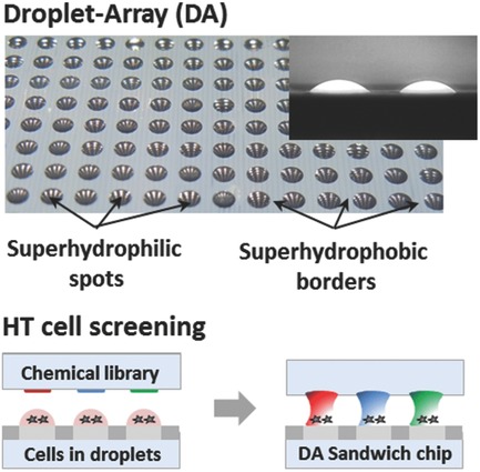Droplet‐Array (DA) Sandwich Chip: A Versatile Platform for High ...