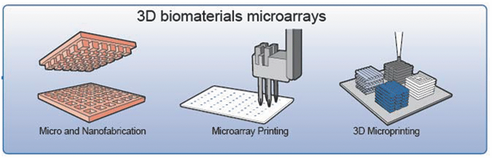 3D Biomaterial Microarrays for Regenerative Medicine: Current State‐of ...