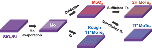 化学气相沉积法合成高质量的大面积均质1T'MoTe2,Advanced Materials - X-MOL