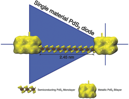 A Single‐Material Logical Junction Based on 2D Crystal PdS2,Advanced Materials - X-MOL