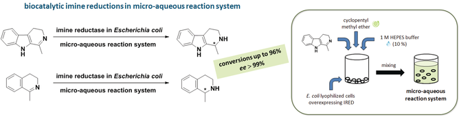 Application of Imine Reductases (IREDs) in Micro‐Aqueous Reaction ...