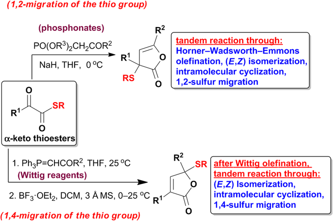 Tandem Chemoselective 1,2‐/1,4‐Migration of the Thio Group in Keto ...