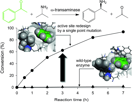 Mechanism‐Guided Engineering of ω‐Transaminase to Accelerate Reductive ...
