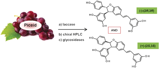 Laccase‐Catalyzed Dimerization of Piceid, a Resveratrol Glucoside, and ...