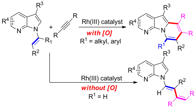 Diverse Reactivity in a Rhodium(III)‐Catalyzed Vinylic sp2 C–H Bond Functionalization: Synthesis ...