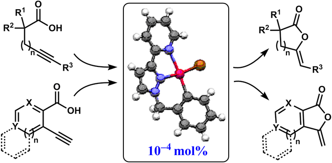 Palladium NNC Pincer Complex as an Efficient Catalyst for the ...