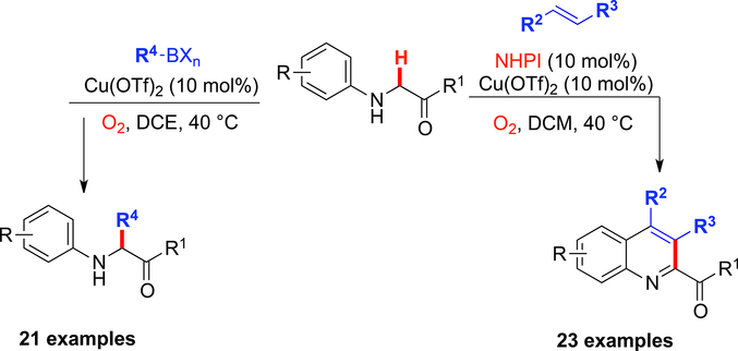 Copper(II) Triflate‐Catalyzed Aerobic Oxidative C?H Functionalization ...