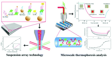 Highly specific detection of thrombin using an aptamer-based suspension ...