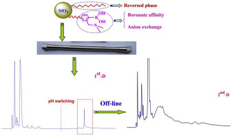 Preparation of a silica stationary phase co-functionalized with Wulff ...