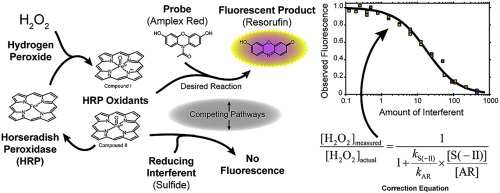 Quantitative determination of trace hydrogen peroxide in the presence ...